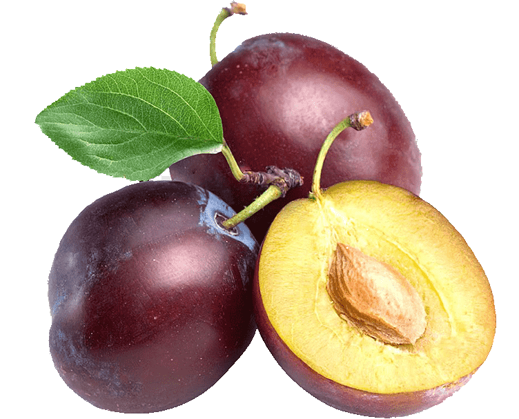 Slivky – klasické aj nové odrody | Agrocentrum.sk, Strana 2